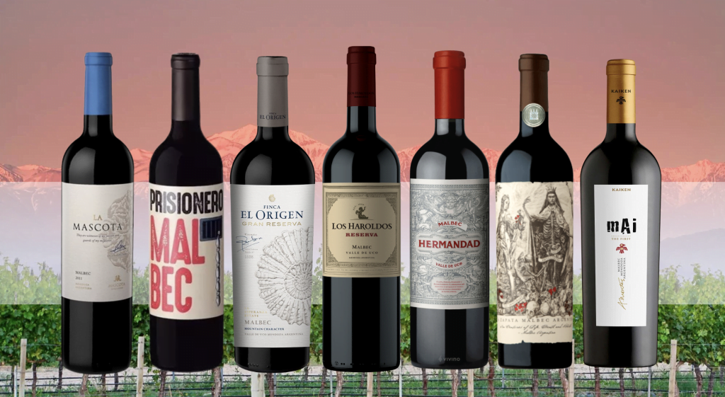 What is Malbec Wine? - Viners Club